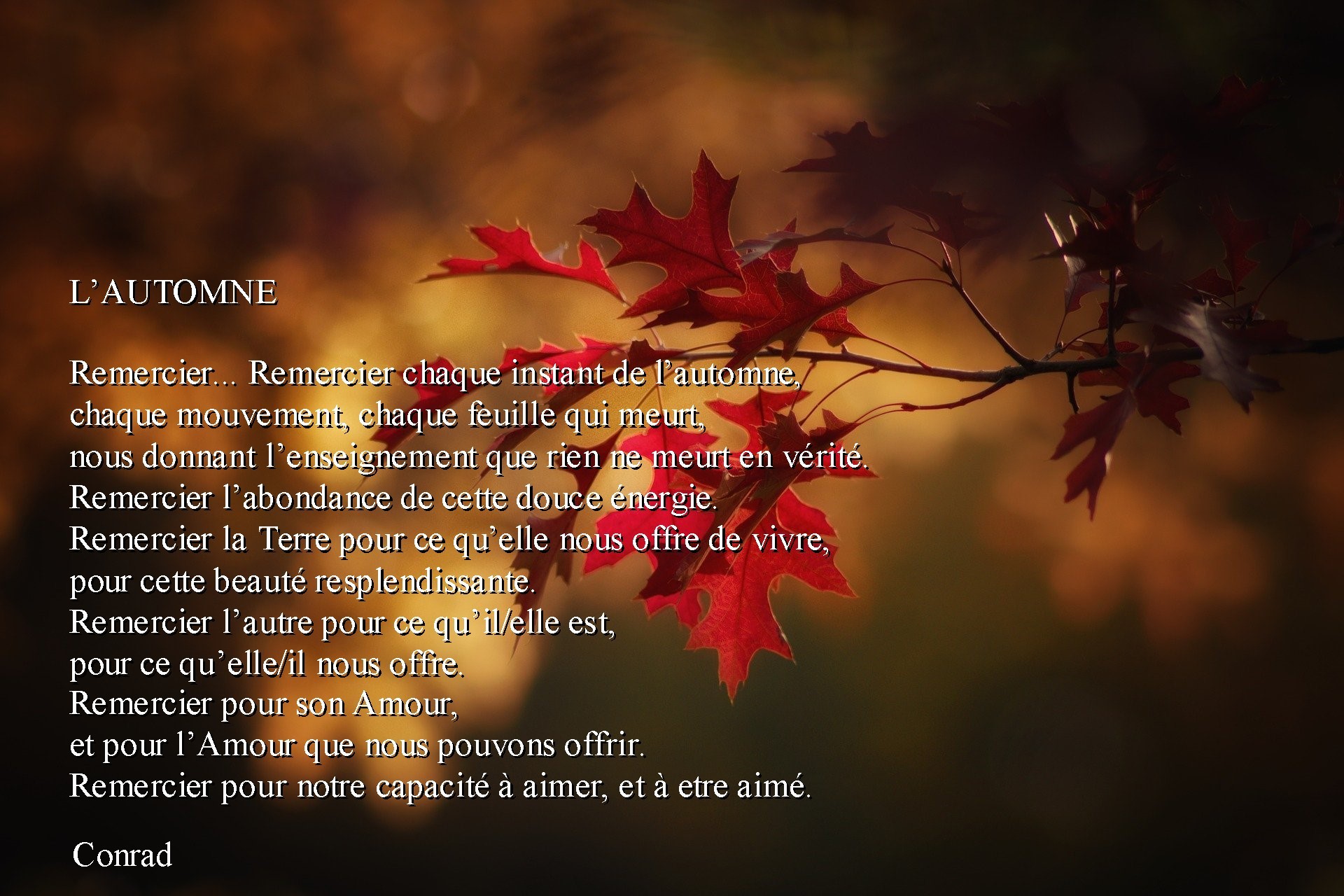 L’AUTOMNE